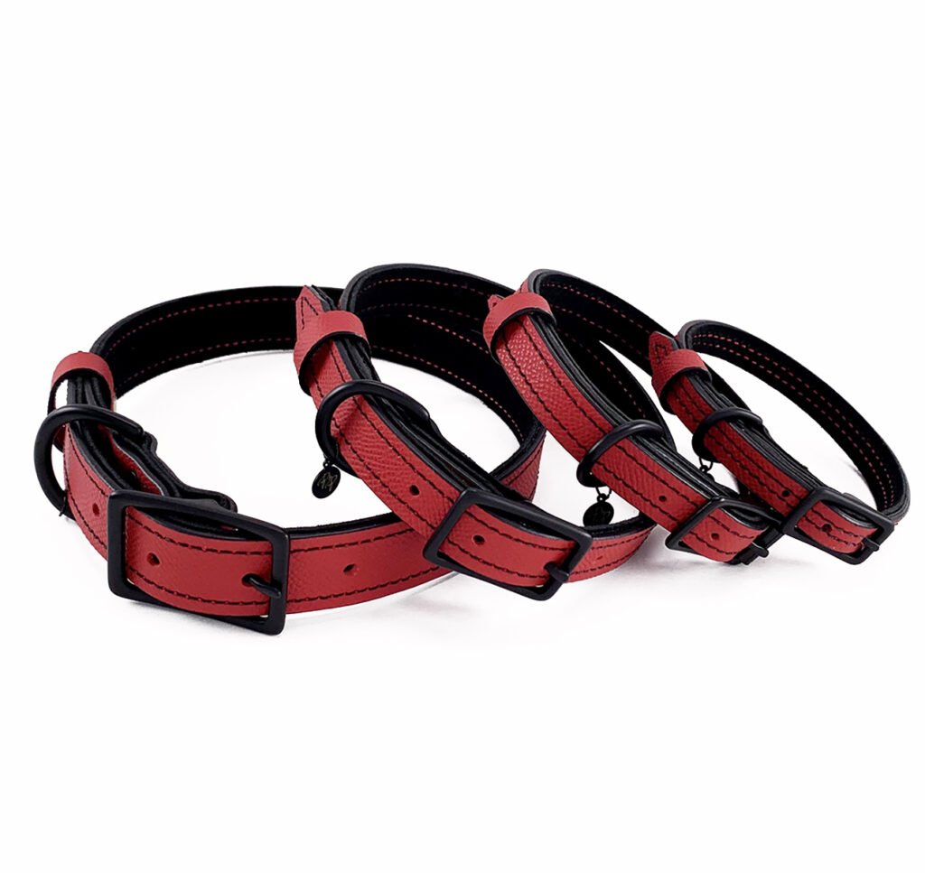 Red and Black Leather Dog Collar - Poppy & Payson